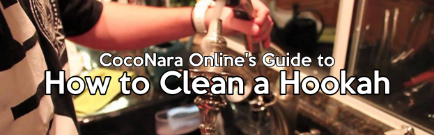 How to Properly Clean Your Hookah | Coconara Online – coconaraonline.com